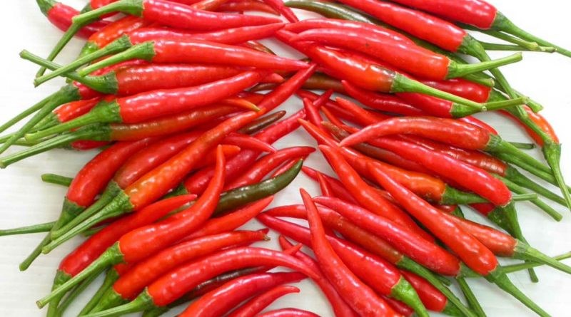 Ớt sừng (80gr) - FoodHub